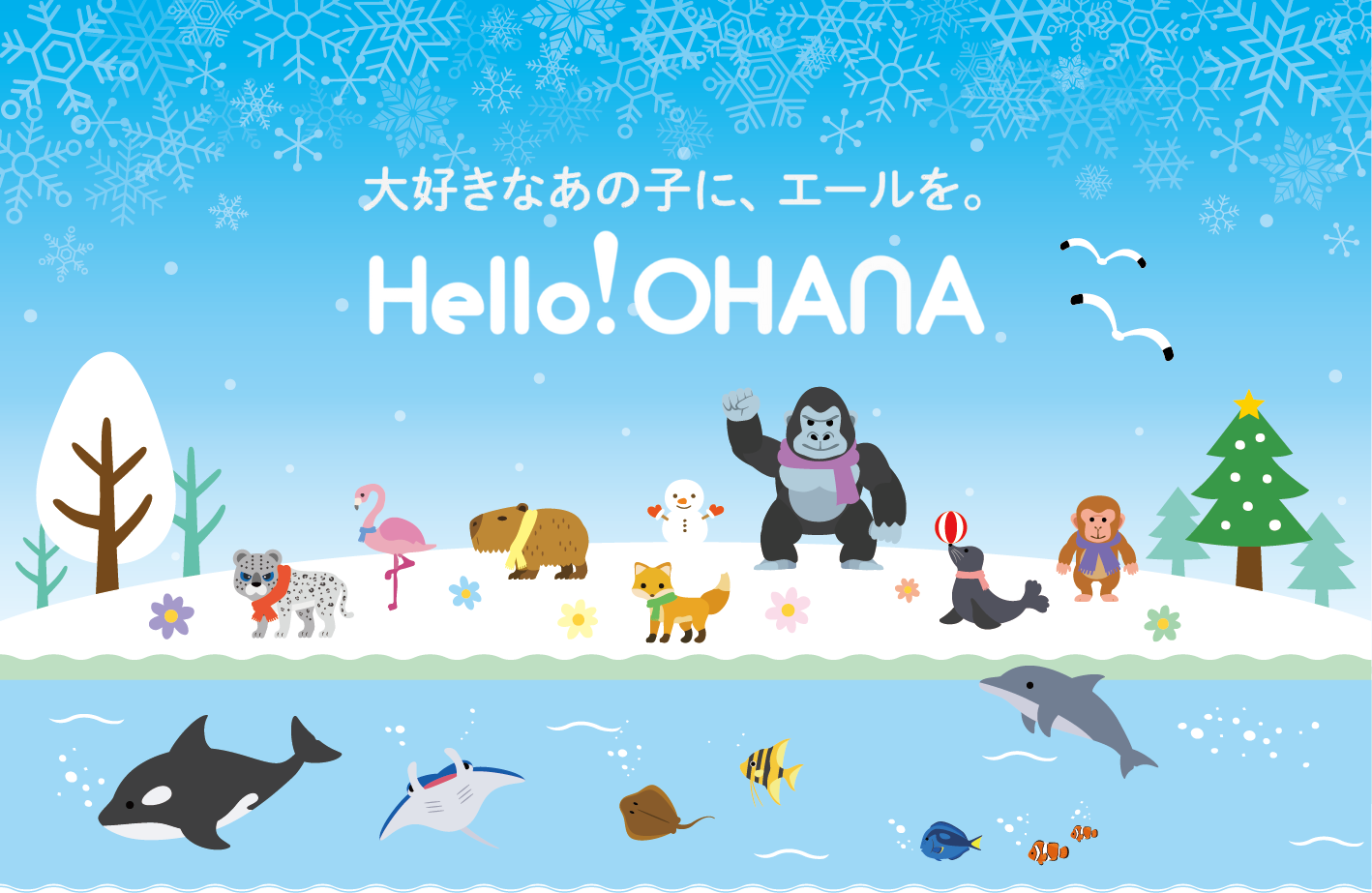 Hello! OHANA｜動物園・水族館の「推し活」サービス