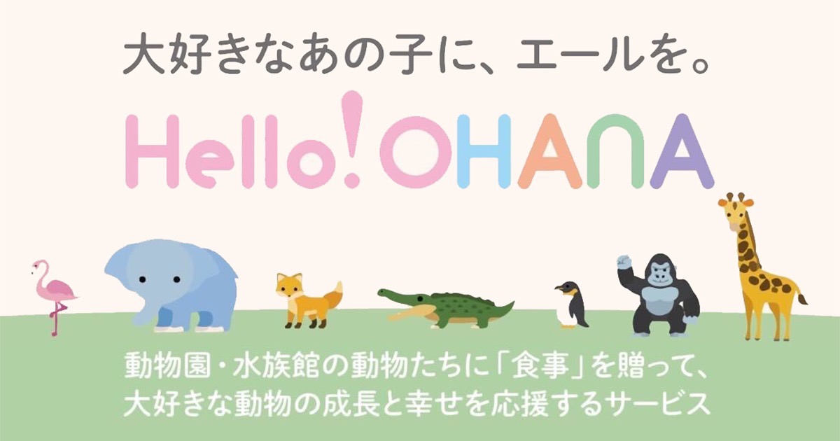 ＜サイトの更新中＞ - Hello! OHANA