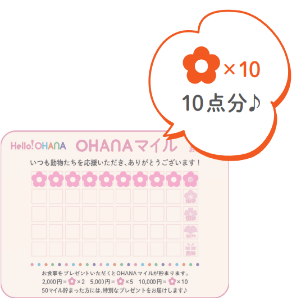 Hello! OHANA｜特典内容について