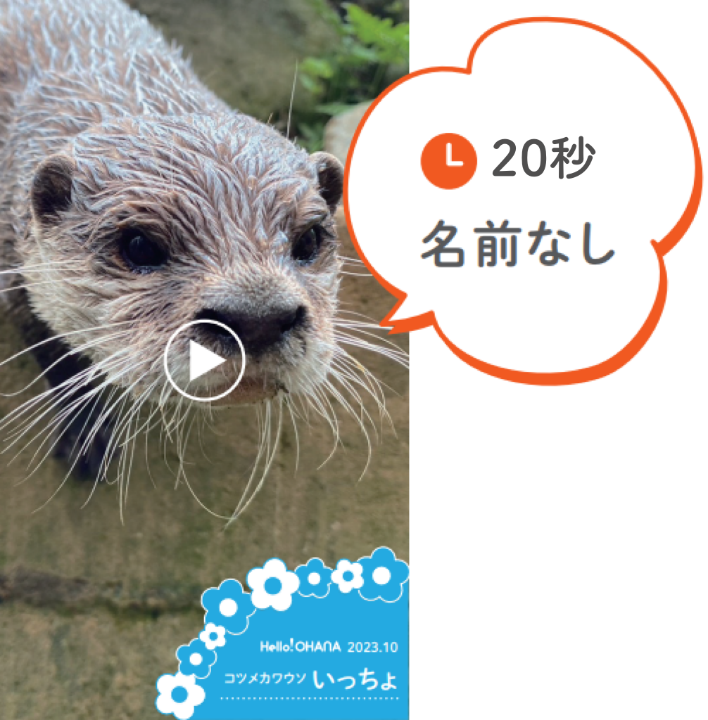 Hello! OHANA｜特典内容について